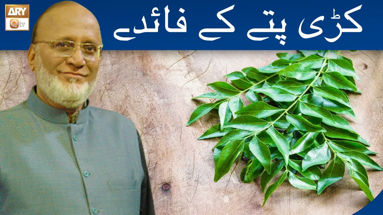 Kari Patte Ke Faiday | Curry Leaves Benefits | Hakeem Abdul Basit # ...