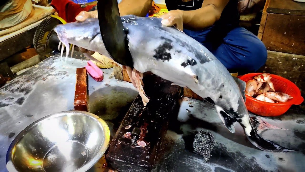 Huge Baghair fish cutting weighing 9kg & Giant fish cutting - YouTube