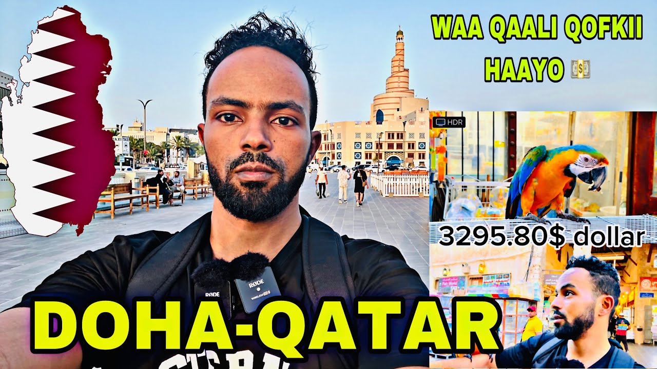 DOHA QATAR 🇶🇦 MAKU IIBSAN LAHAYD LACAG 3295$ DOLLAR 😱 - YouTube