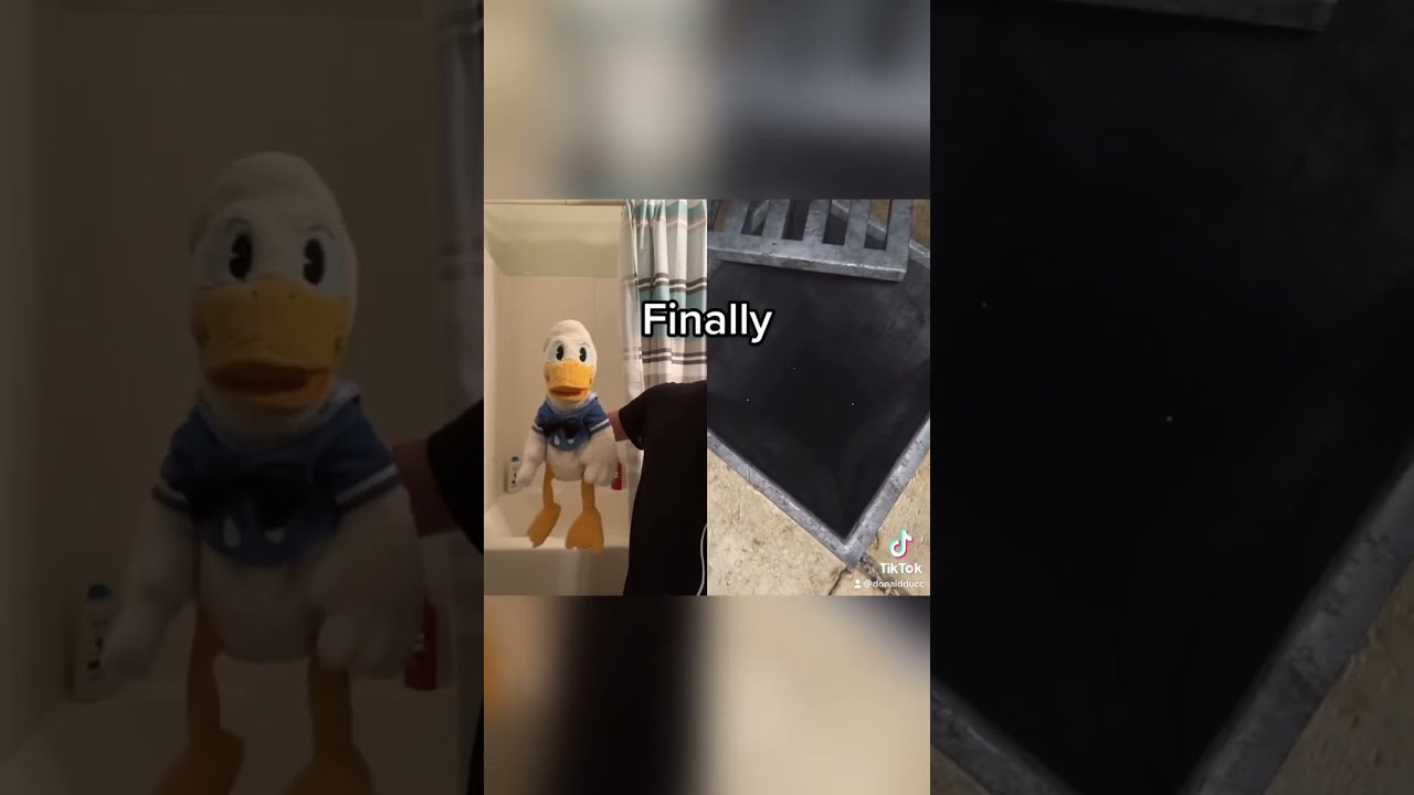 Donald Duck hates his toy #shorts - YouTube