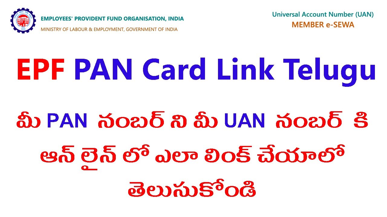 EPF PAN Card Linking Process Telugu - YouTube