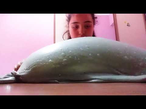 Dev slime çorbası