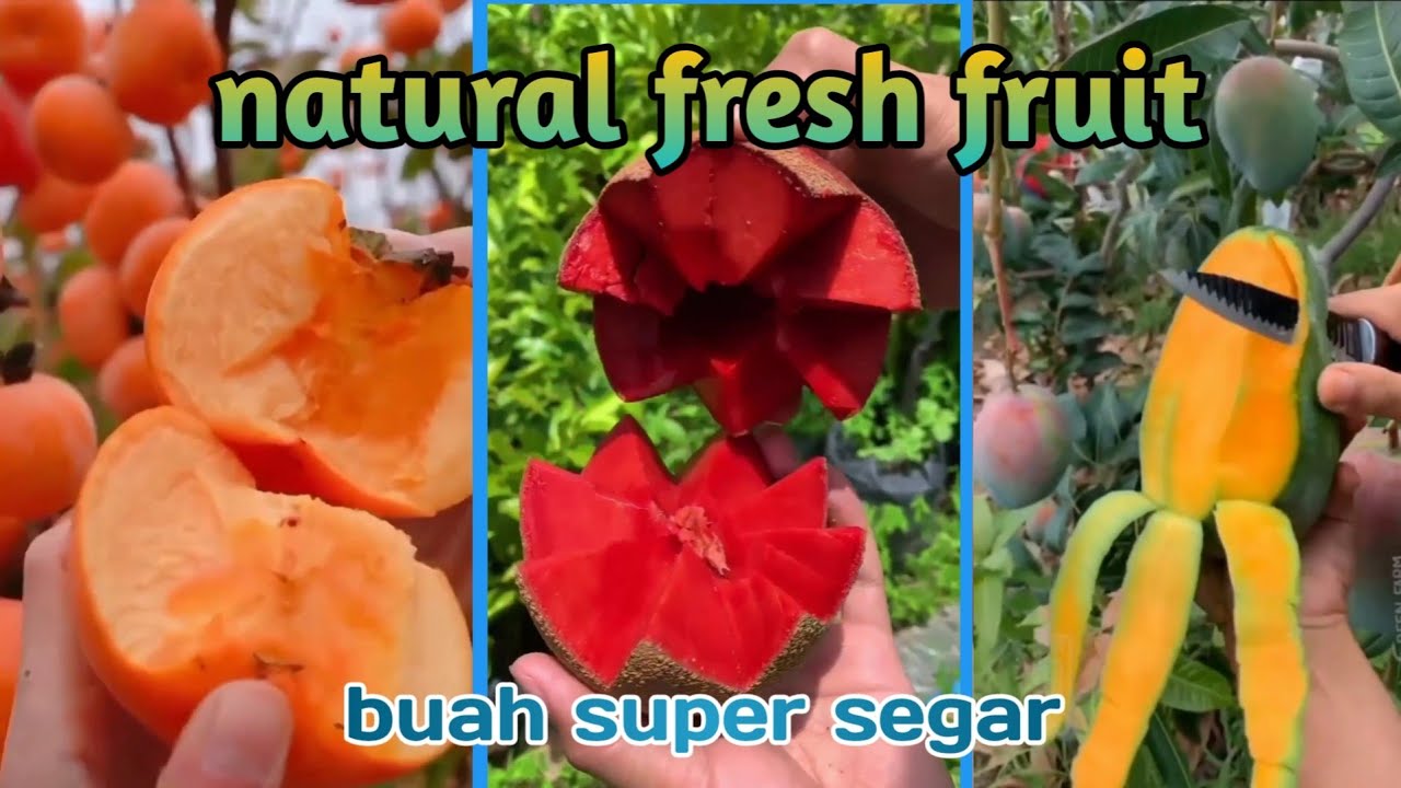 Natural fresh fruit,,collection of fresh fruit harvest videos. - YouTube