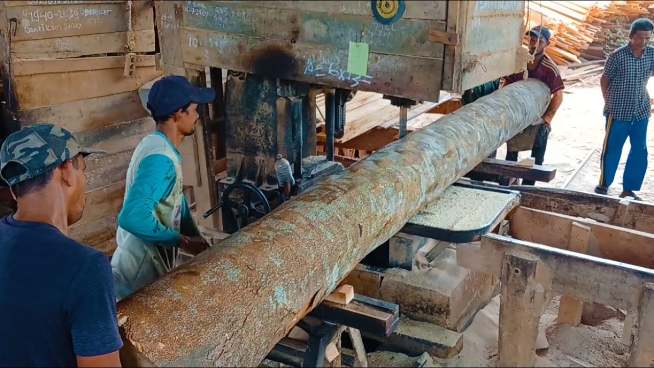 Sawing Wood 15 Meters Long – Incredible Results! - YouTube