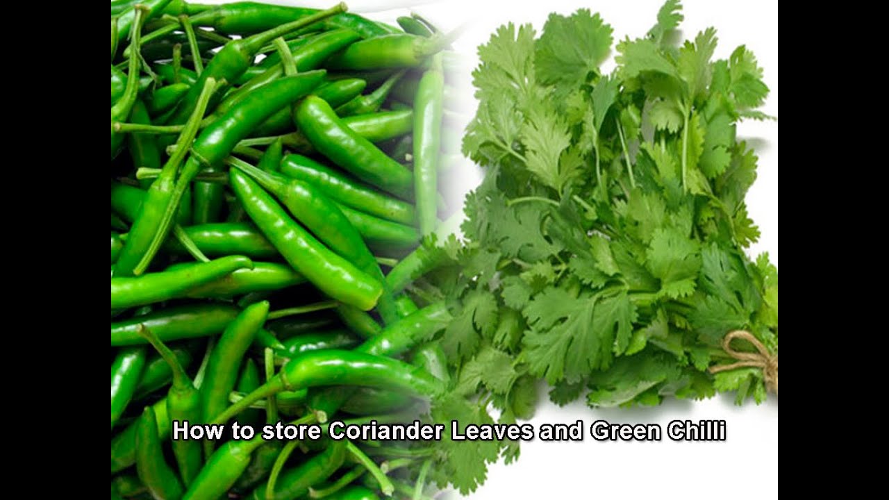 Kitchen Tips and Tricks-How to Store Coriander and Green Chili for ...