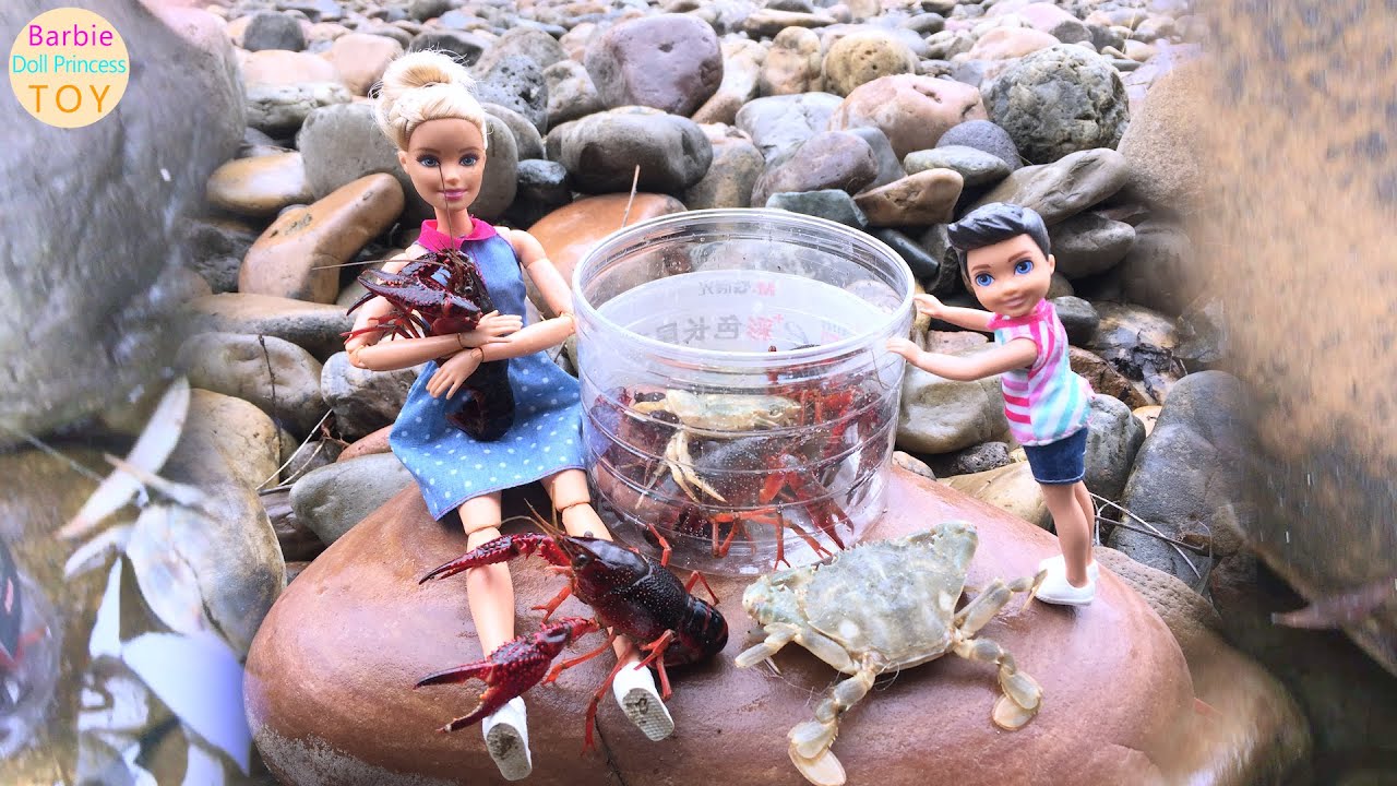 Barbie toys! Barbie takes his brother to catch crayfish and crabs by ...