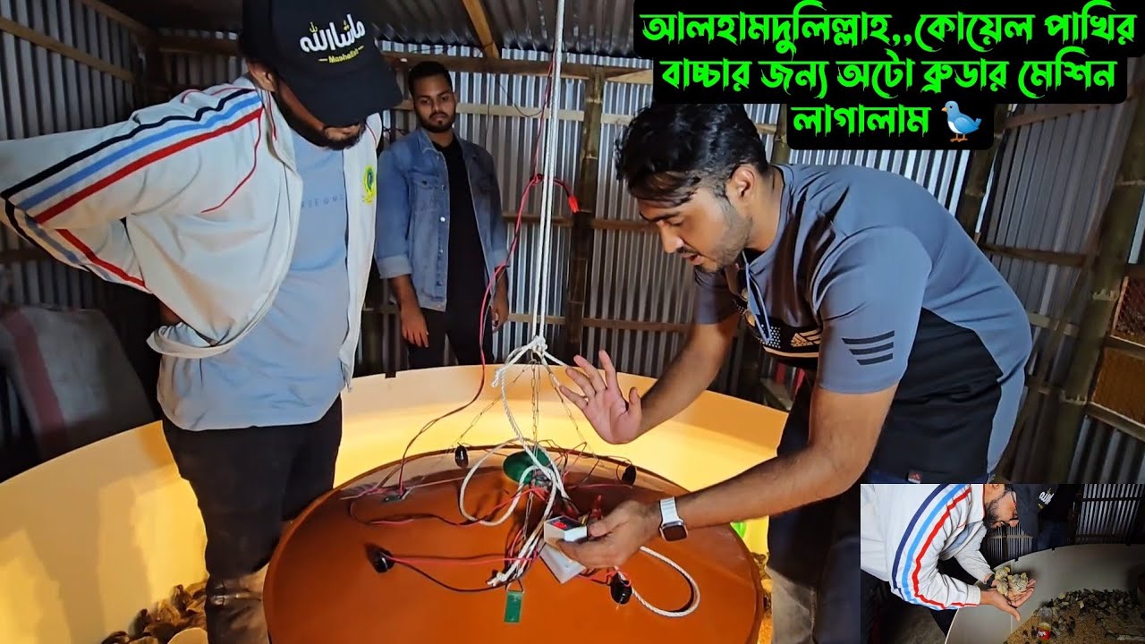 আলহামদুলিল্লাহ,,কোয়েল পাখির বাচ্চার জন্য অটো ব্রুডার মেশিন লাগালাম 🐦 ...