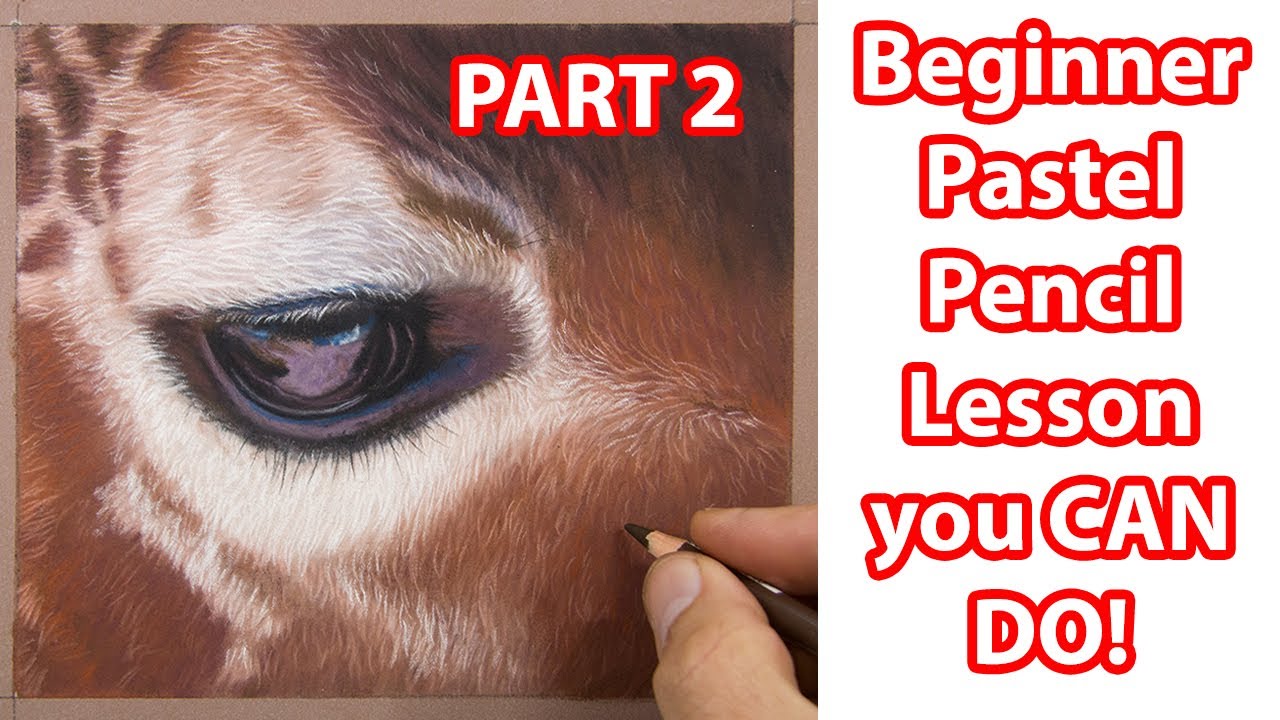 Wildlife Art - FREE Beginners Pastel Pencil Lesson How to draw a ...