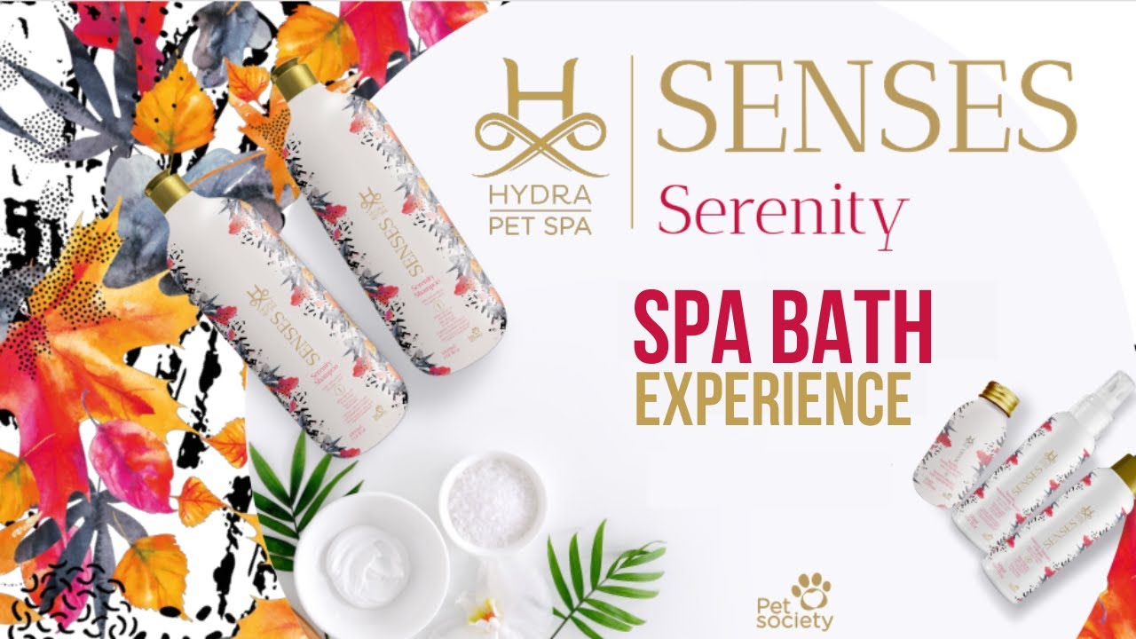 Hydra - Step by Step: Spa Bath Senses Serenity - Learn how to use - YouTube