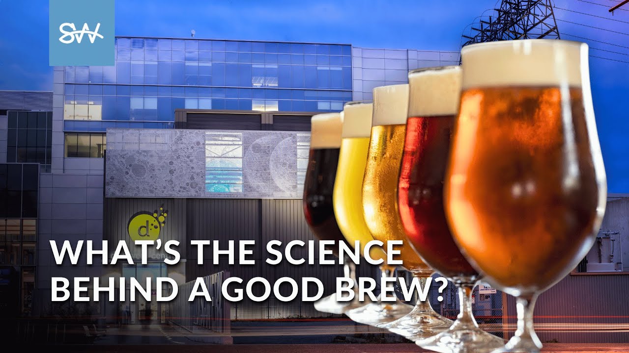 The Science of Beer | SaltWire #beer #science #craftbeer #soundbites # ...