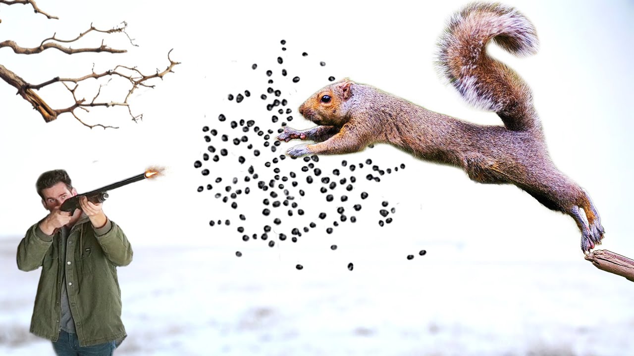 Squirrel Hunting with PCP Shotgun! - YouTube