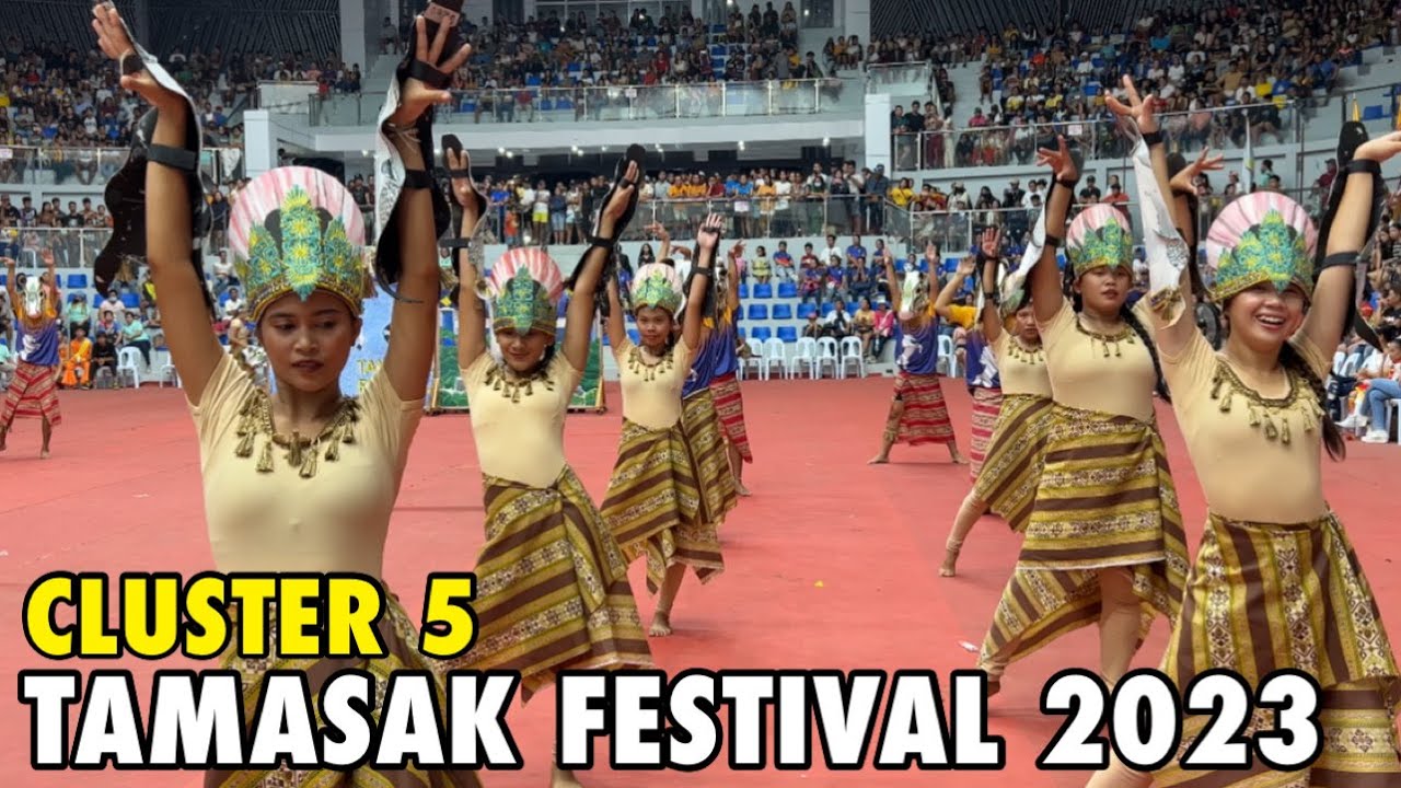 CLUSTER 5 TAMASAK FESTIVAL 2023 ILOILO SCIENCE & TECHNOLOGY UNIVERSITY ...