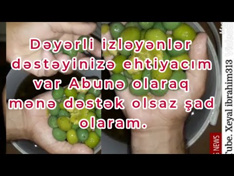 zeytun hazırlayarkən mütləq bu qaydaya diqqət edin.