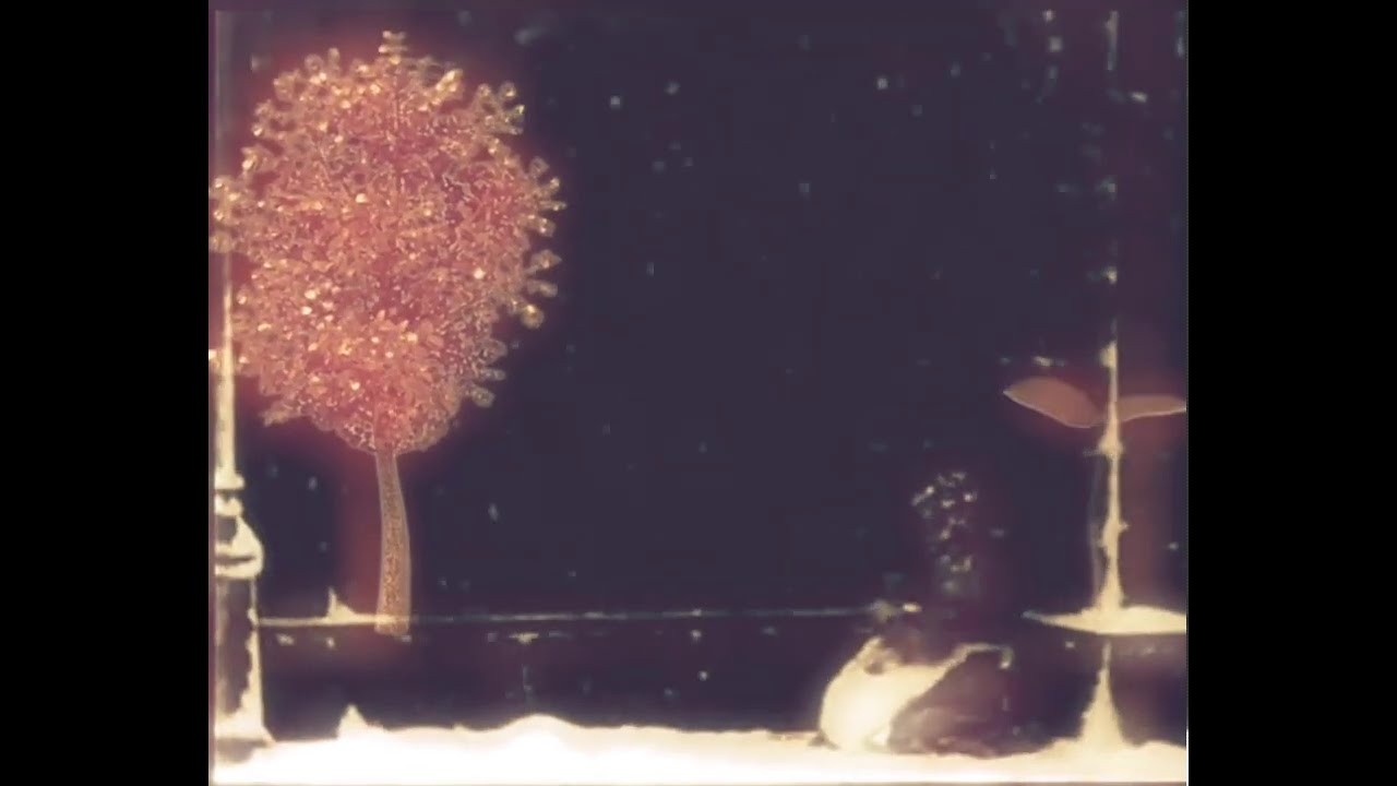 Frally Hynes- Breathe (Official Visualizer) - YouTube