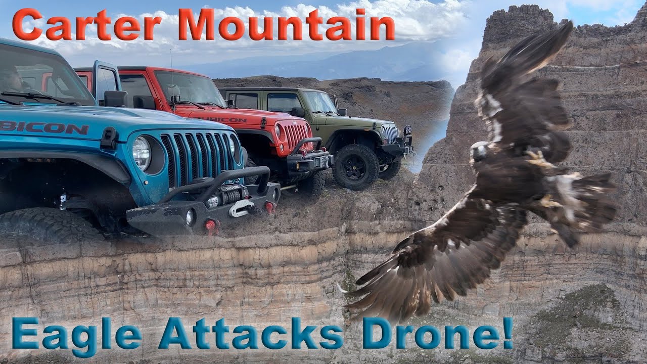 Episode 11: Adventures on Carter Mountain - Eagle Attacks Drone! 8-28 ...
