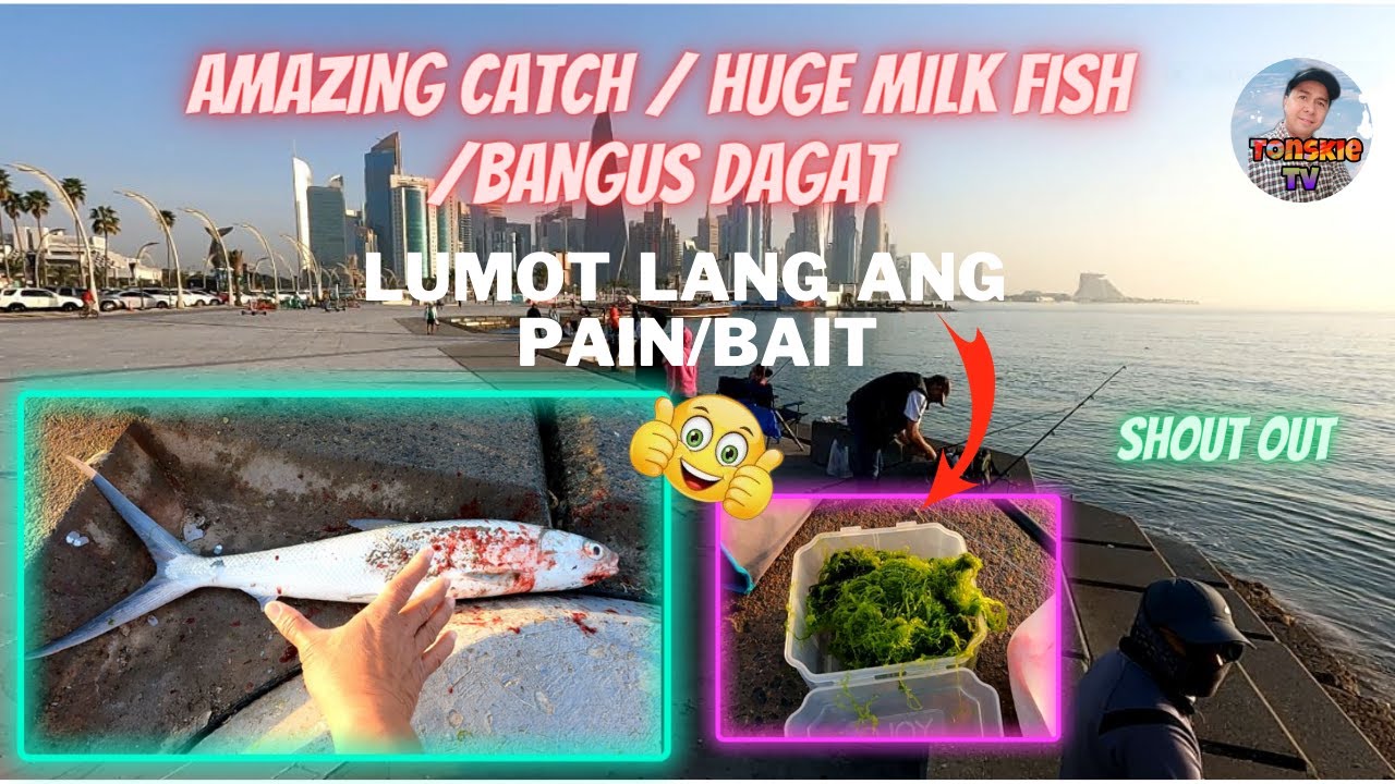 AMAZING CATCH | HUGE MILK FISH | LUMOT LANG ANG PAIN/BAIT | BANGUS ...