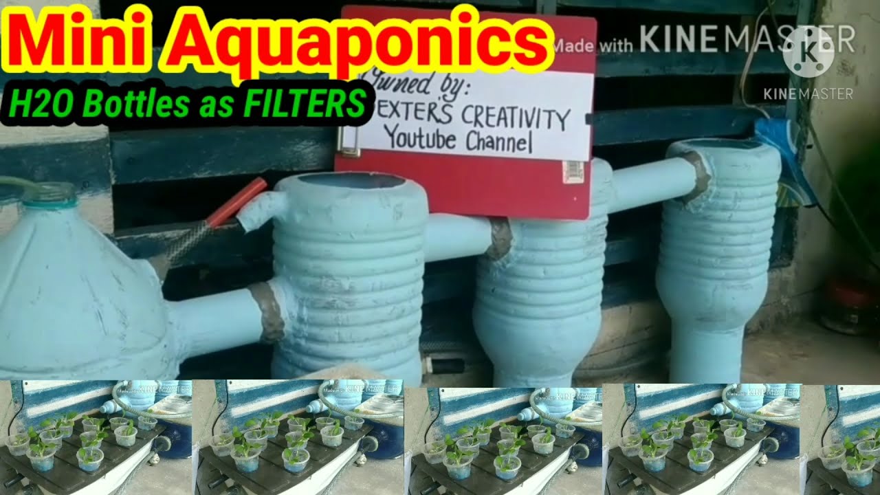 My mini aquaponics system with DIY filters made of H2O plastic bottles ...