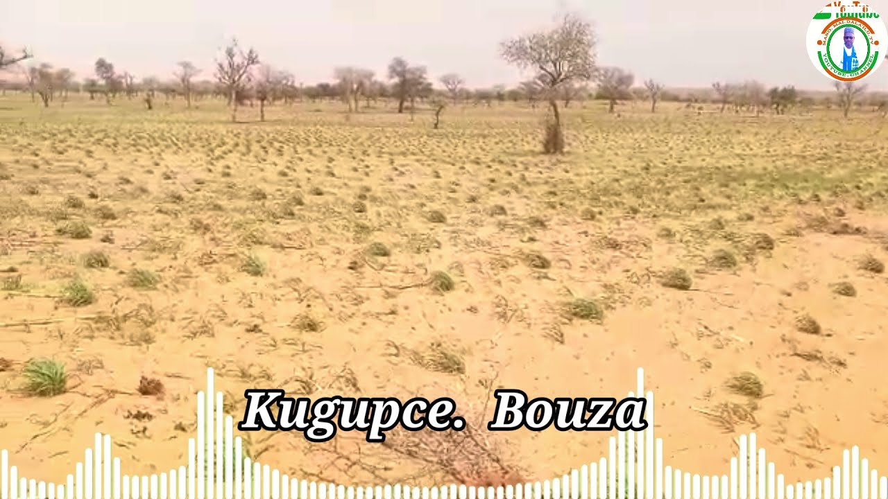 Damanar. Garin su. MANO Mai DALA'ILU yankin bouza jahar tahoua - YouTube