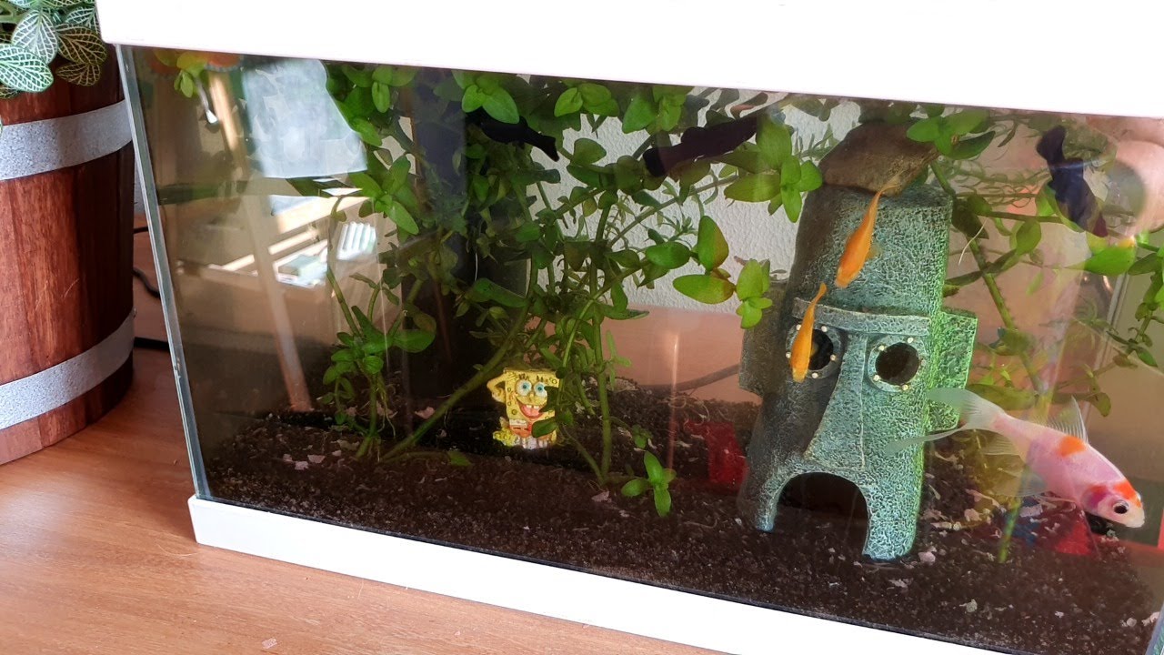 silent Friday while bringing Lilbuddy to Theater lesson - YouTube