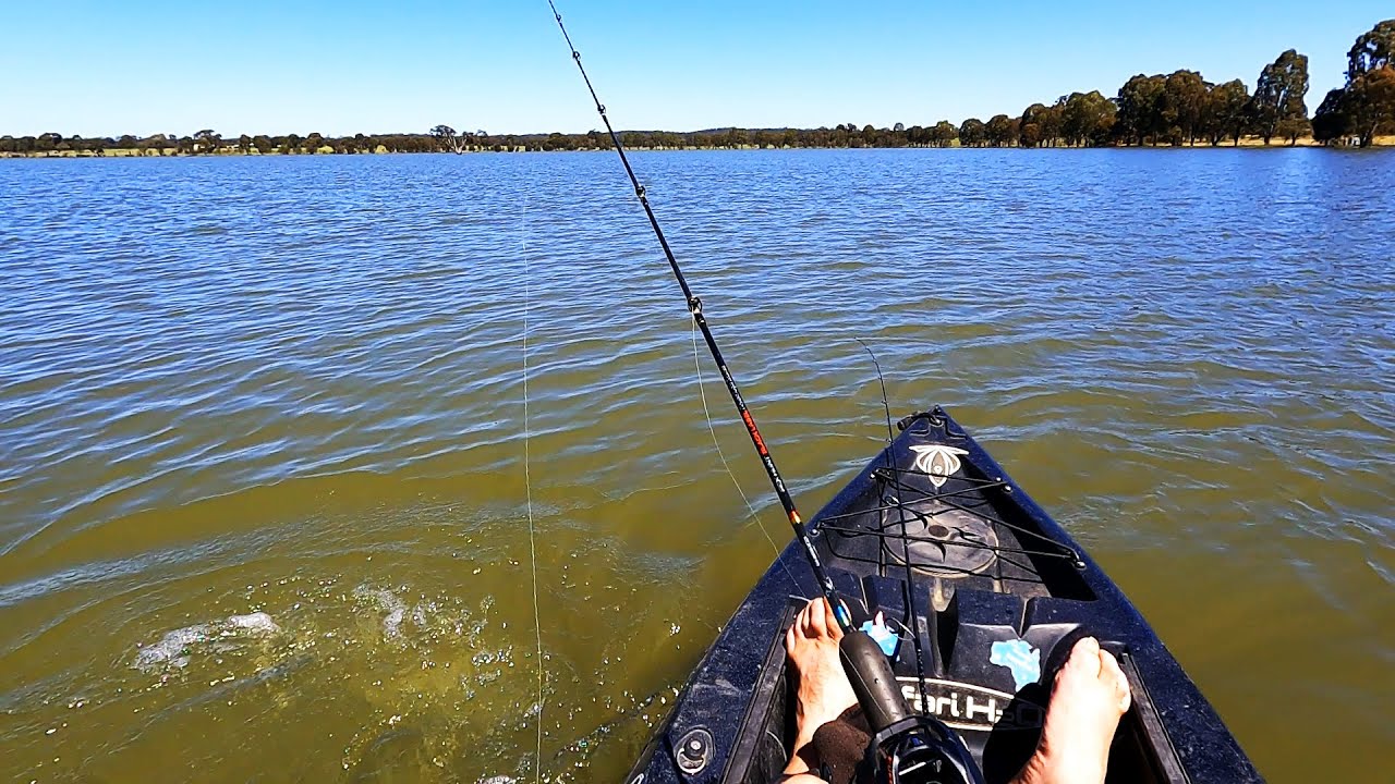 Kayak fishing for redfin perch - YouTube