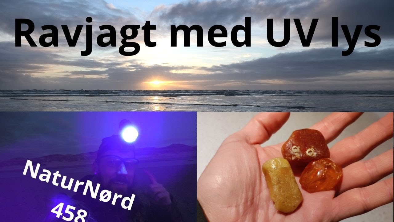 RAV JAGT med UV lys!!! Det er altid super spændene..... - YouTube
