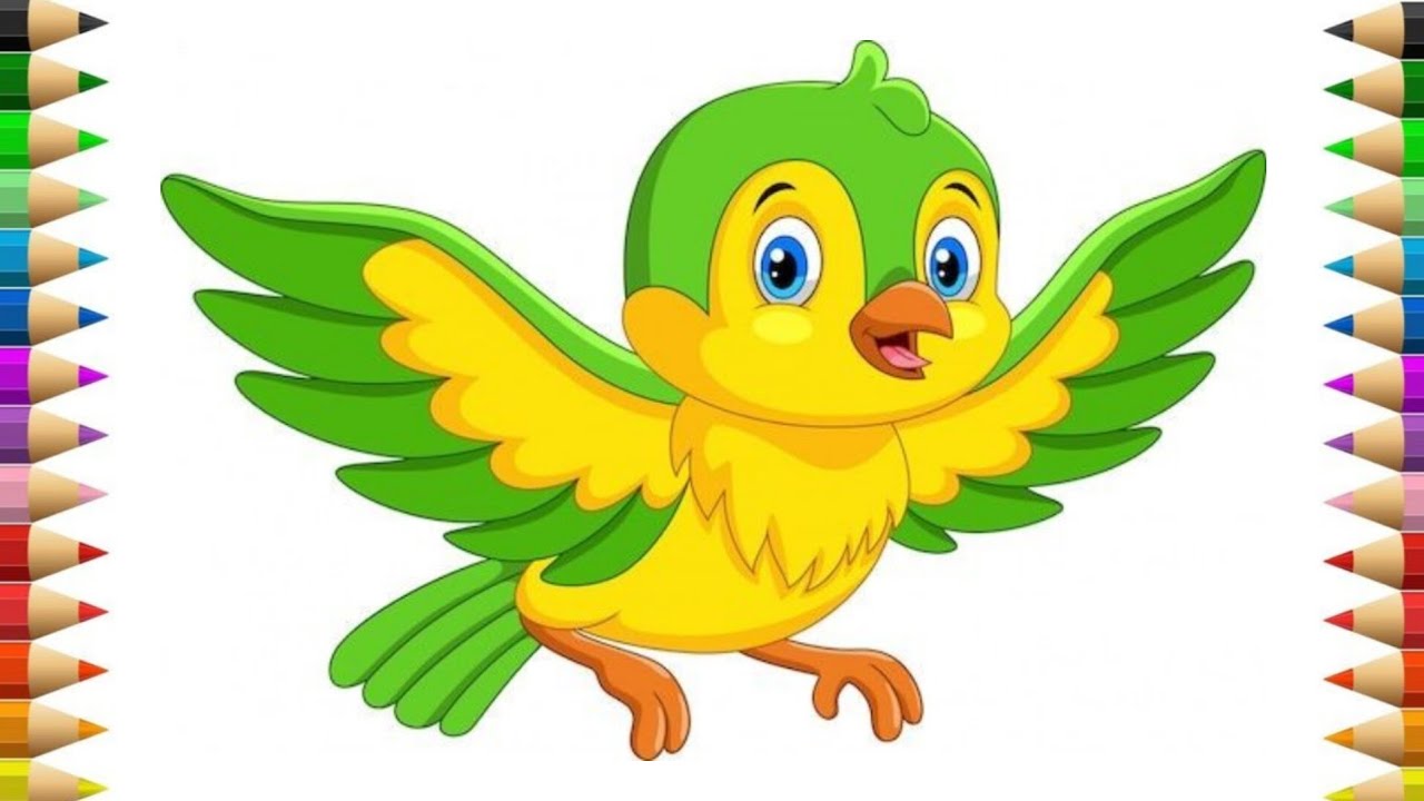 Bird Drawing Easy With Colour || How To Draw easy Bird 🕊️ - YouTube