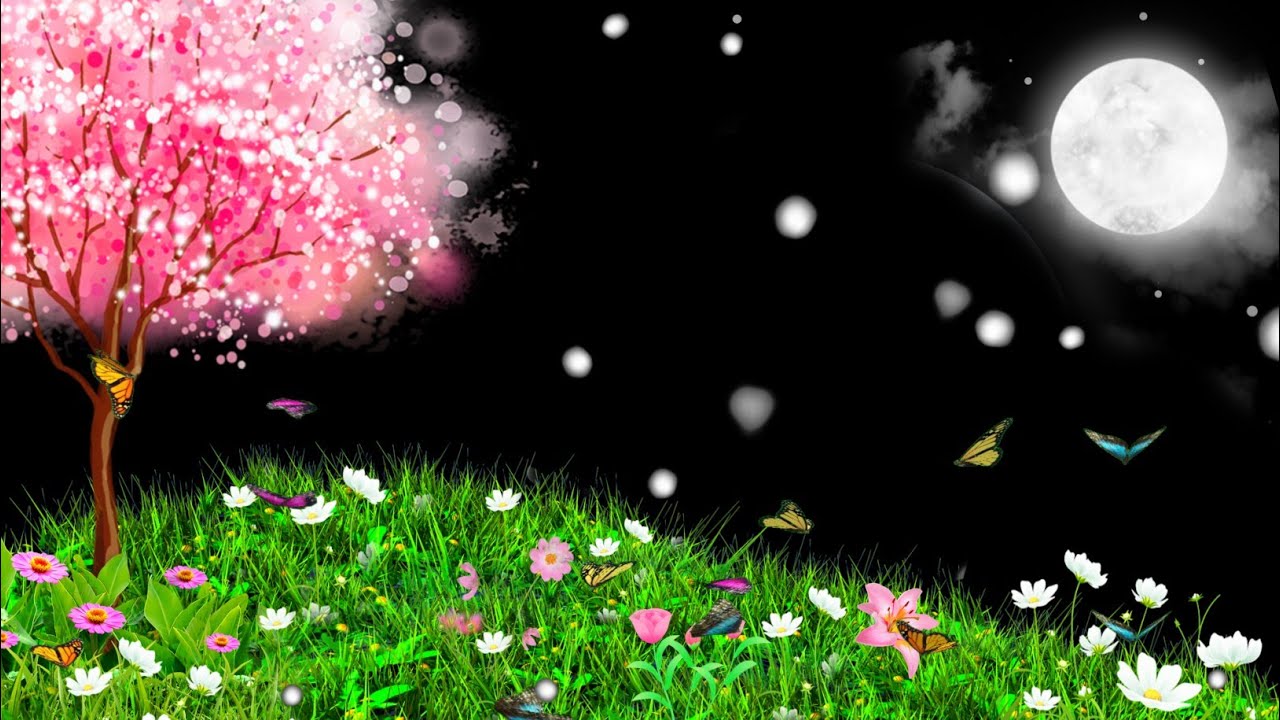 Flower effect black screen | butterfly black screen | black screen ...