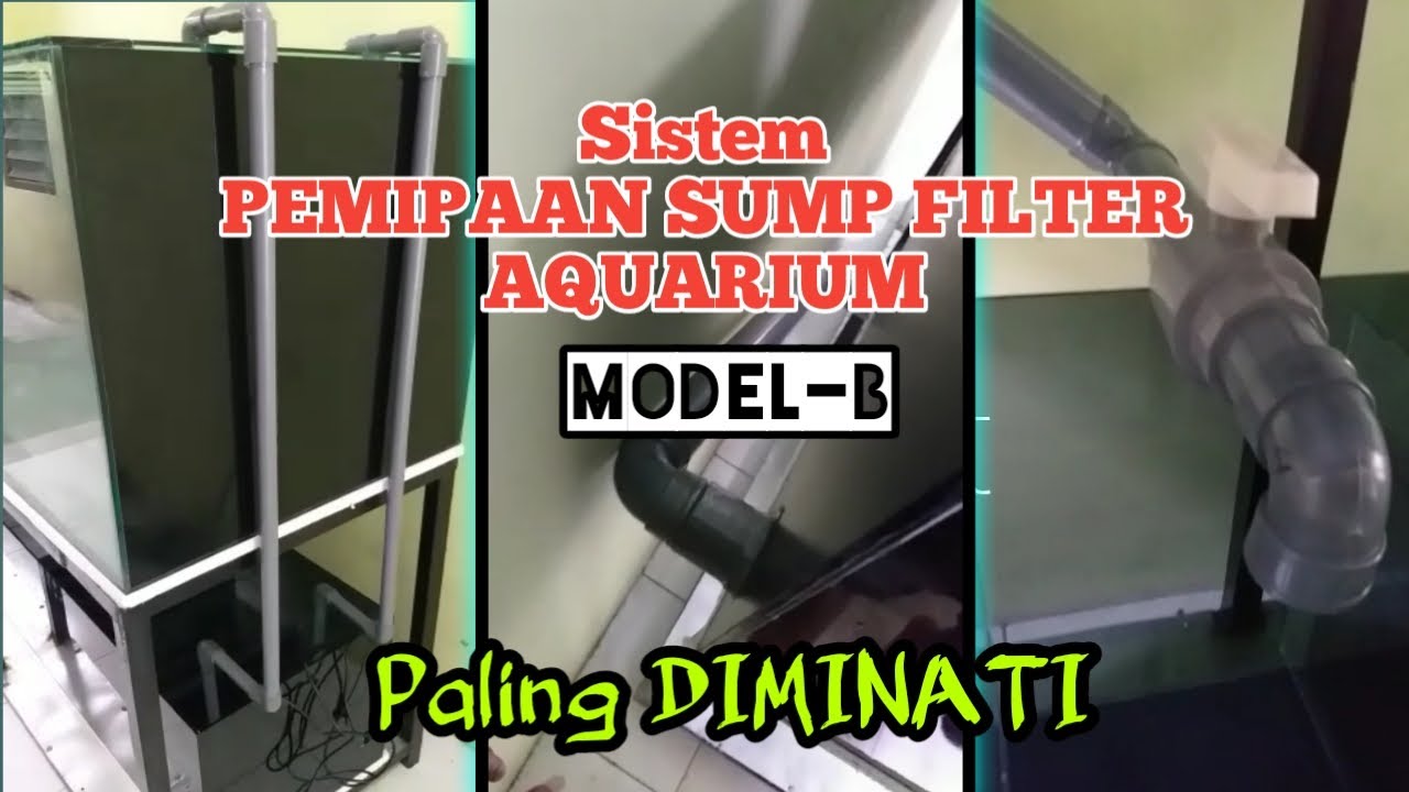 SISTEM PEMIPAAN AQUARIUM SUMP FILTER TERBAIK - YouTube