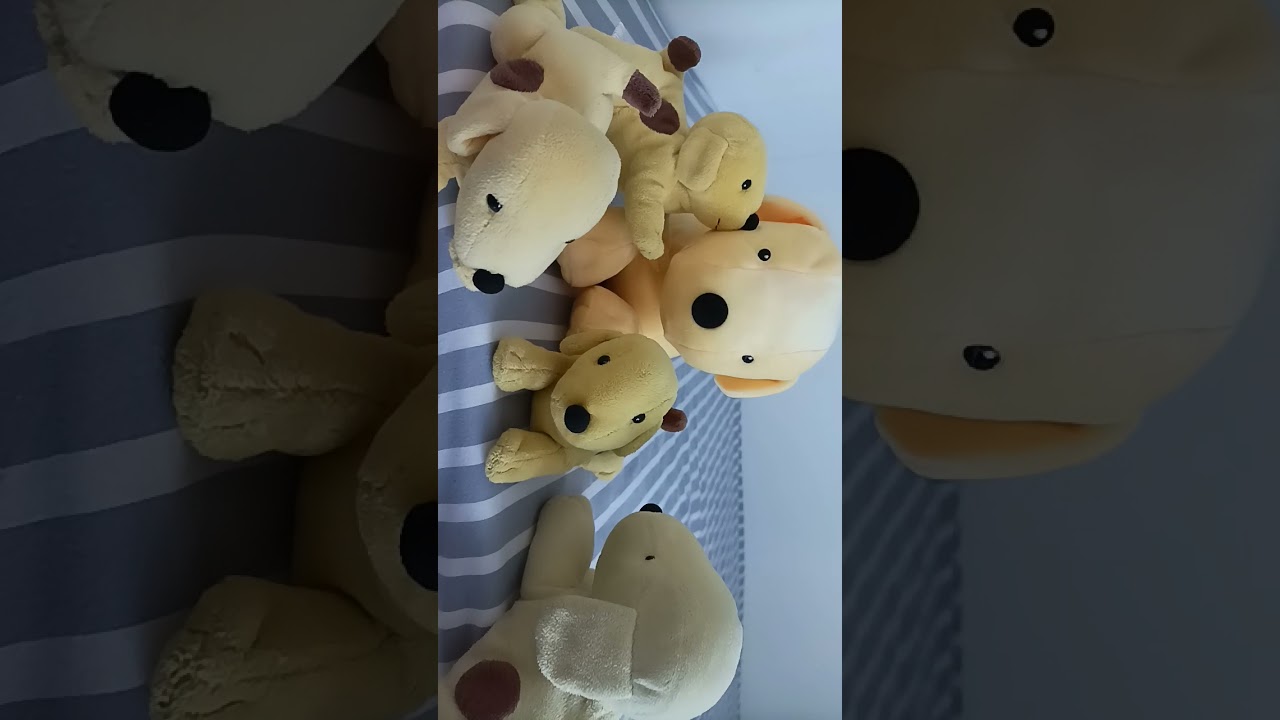 Spot and Friends - YouTube