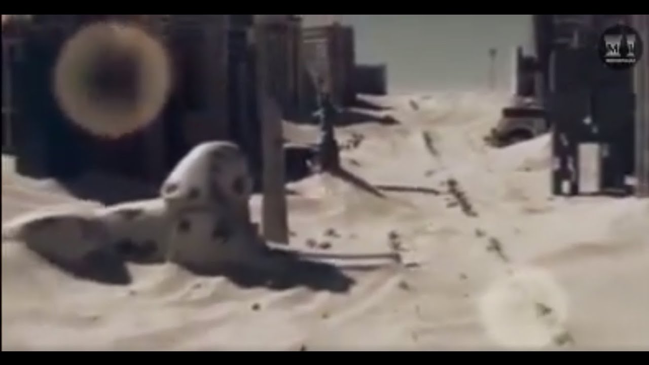 El mundo sin humanos. - YouTube