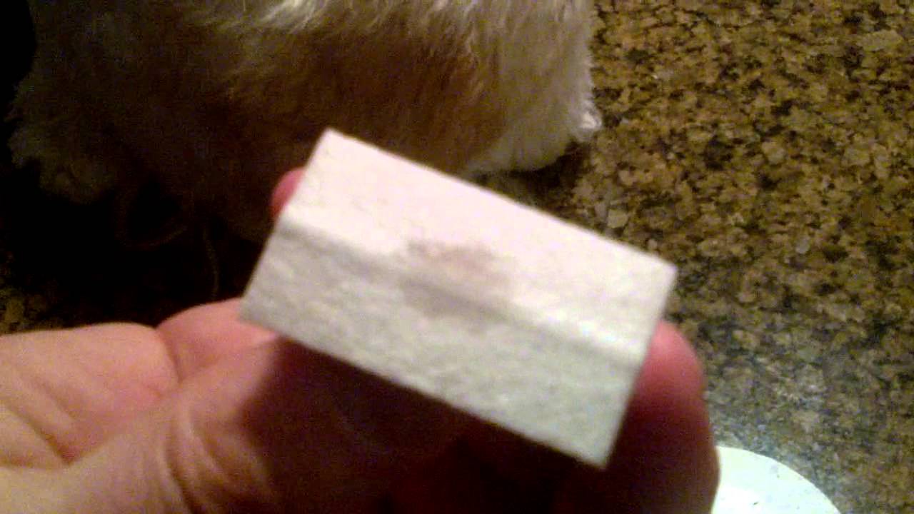 Snapplicator for pets - YouTube