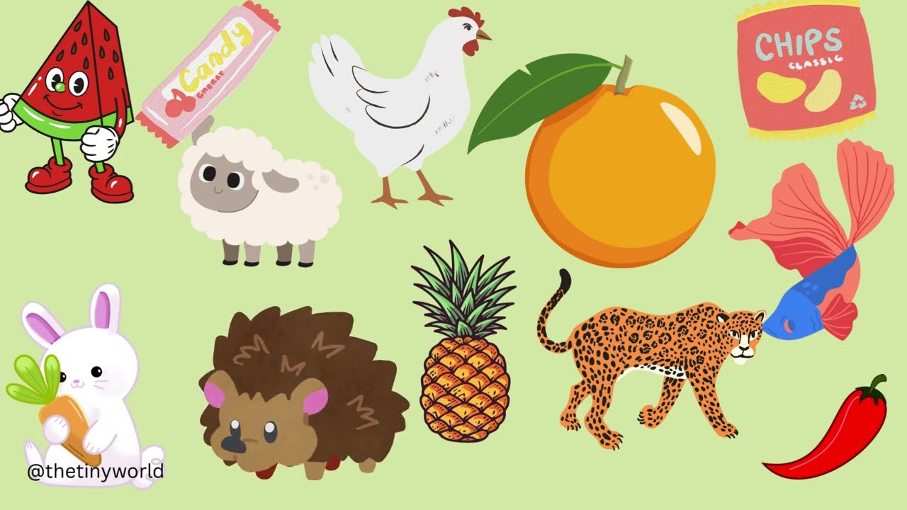 Let's Play Together The Eye Spy Challenge From A to Z...| A Learning ...