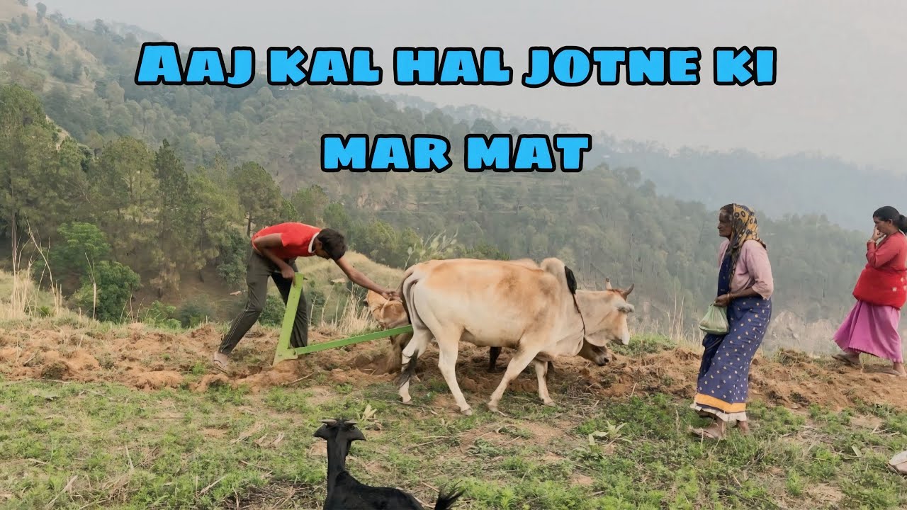 Hal Jotne ki mar mar || hamare gaon ke logo ne to chhod diye khet ab ...