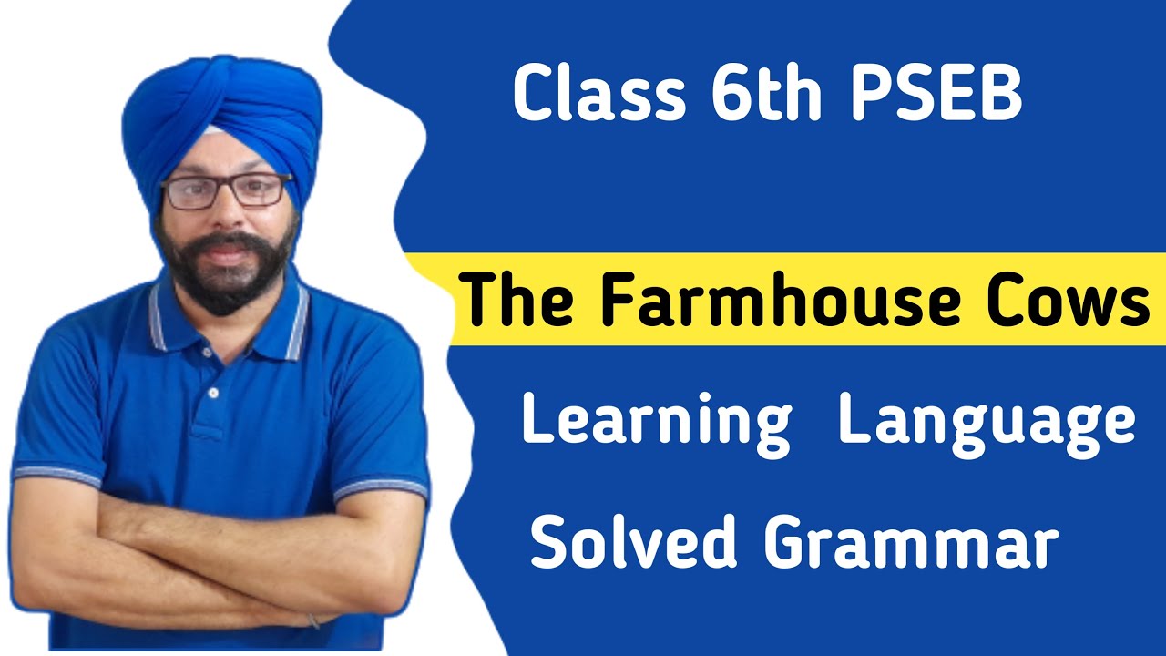 6th Class English Chapter 1 Question Answer Grammar Activity 6 To 14 6th-class-english-chapter-1-question-answer-grammar-activity-6-to-14