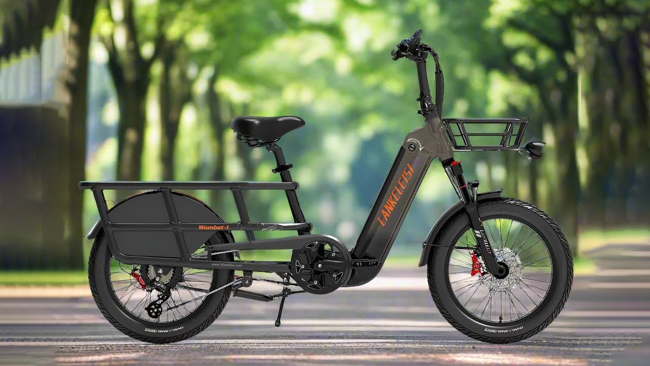 LANKELEISI Wombat-1 Electric Bike 1000W 48V 20Ah Samsung Battery Long ...