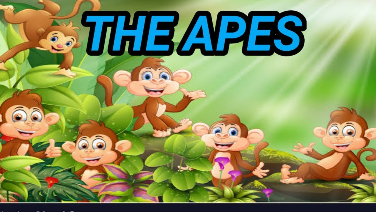 THE APES-Lern Apes NAMES and sound for kids - YouTube