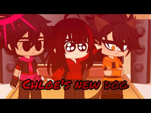 Gacha Club | Chloe’s new dog - YouTube