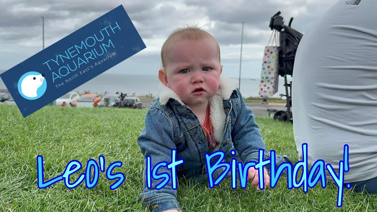 We threw Leo the best 1st birthday party! 🎉 - YouTube