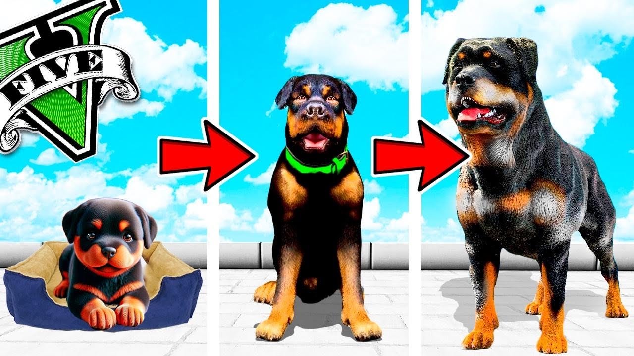 LA VIDA de CHOP en GTA 5 (PELICULA) - YouTube