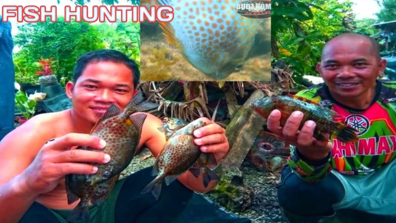 PAANU MANGHULI NG ISDANG SAMARAL , FISH HUNTING EPISODE 22 / FISHING ...