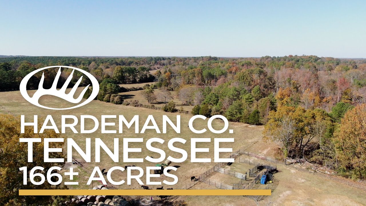 Hardeman County, TN 166± Acres - YouTube