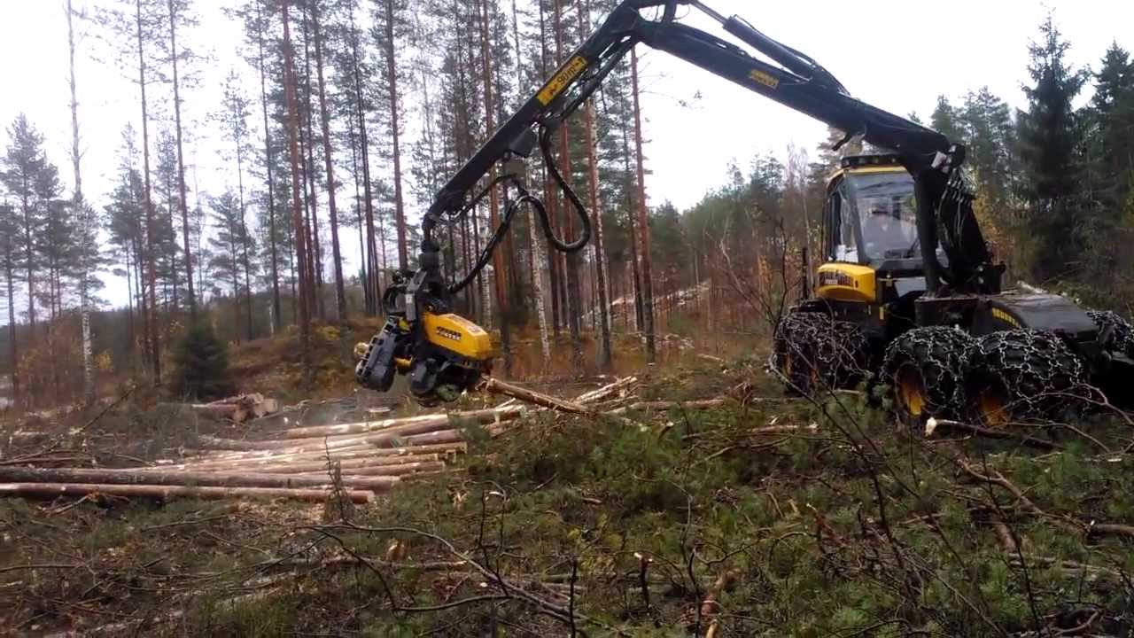 ponsse fox H6 -12 - YouTube