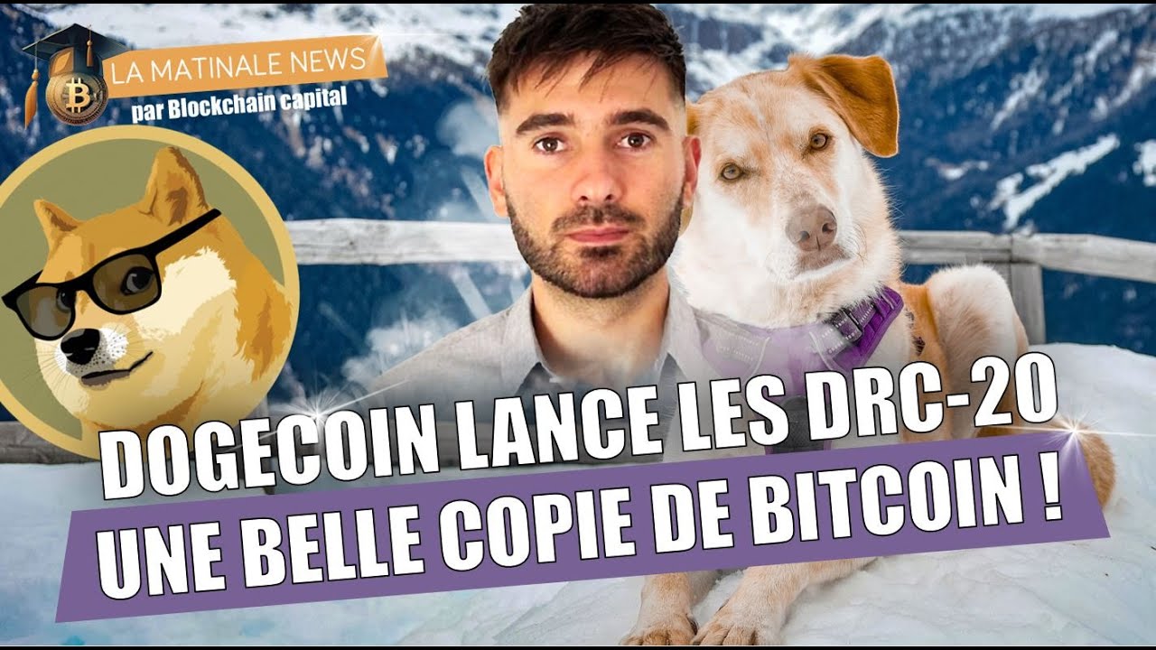 Dogecoin lance DOGINALS et les Token DRC-20 (comme Bitcoin) - YouTube