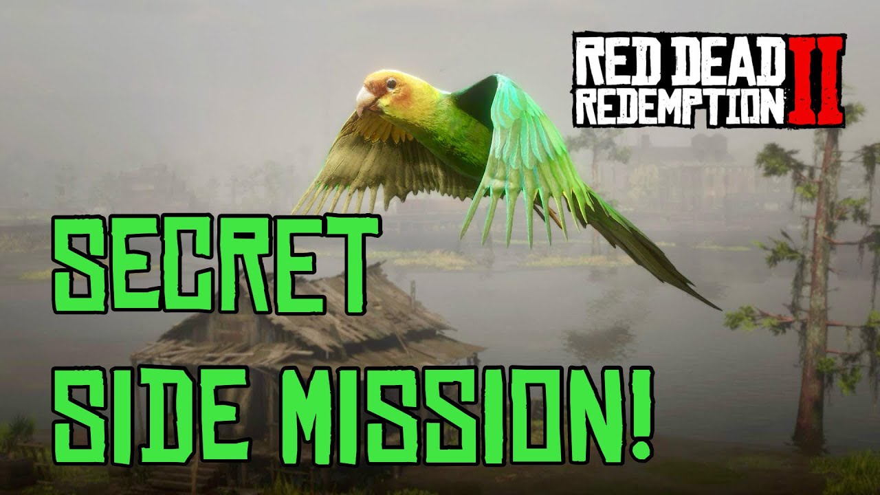 Ultra Rare Carolina Parakeets SECRET Mission Red Dead Redemption 2 ...