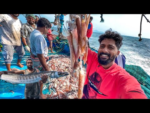 🌊 Kadalodu Oru Naal! Huge Squid Catch 🦑 & Fresh Grouper Meen Curry Cooking | Uncut Fishing Vlog