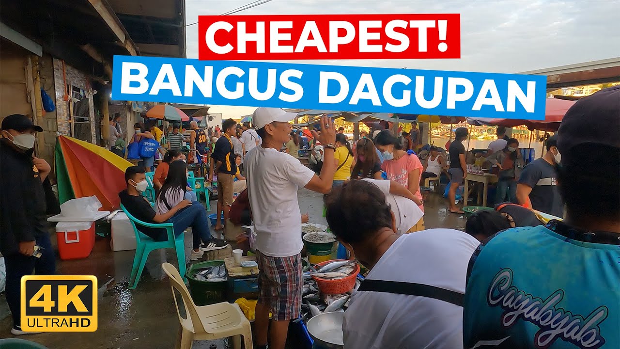 Cheapest BANGUS Market! Dagupan Fishport - YouTube