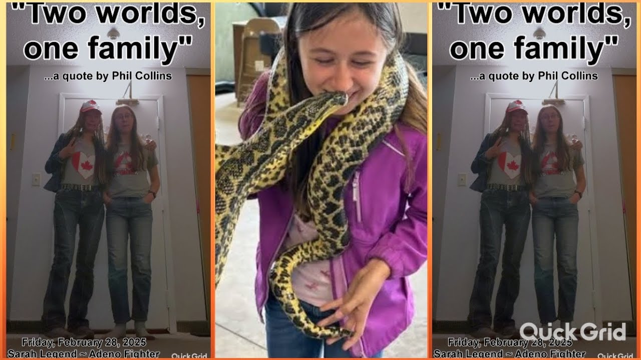 💝🎼🎵 Two Worlds by Phil Collins ~ cover 🎶🎶💝 | C👀 Description - YouTube