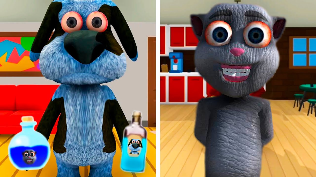 TALKING PABLO take a Talking JUAN poison? | Talking Pablo UPDATE - YouTube