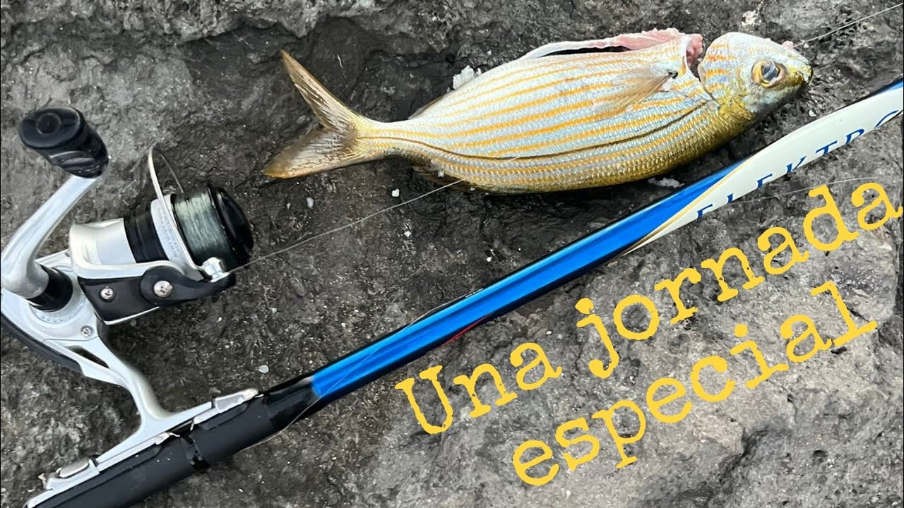 Pesca con boya/corcheo. Una jornada muy divertida en Tenerife, Canarias ...