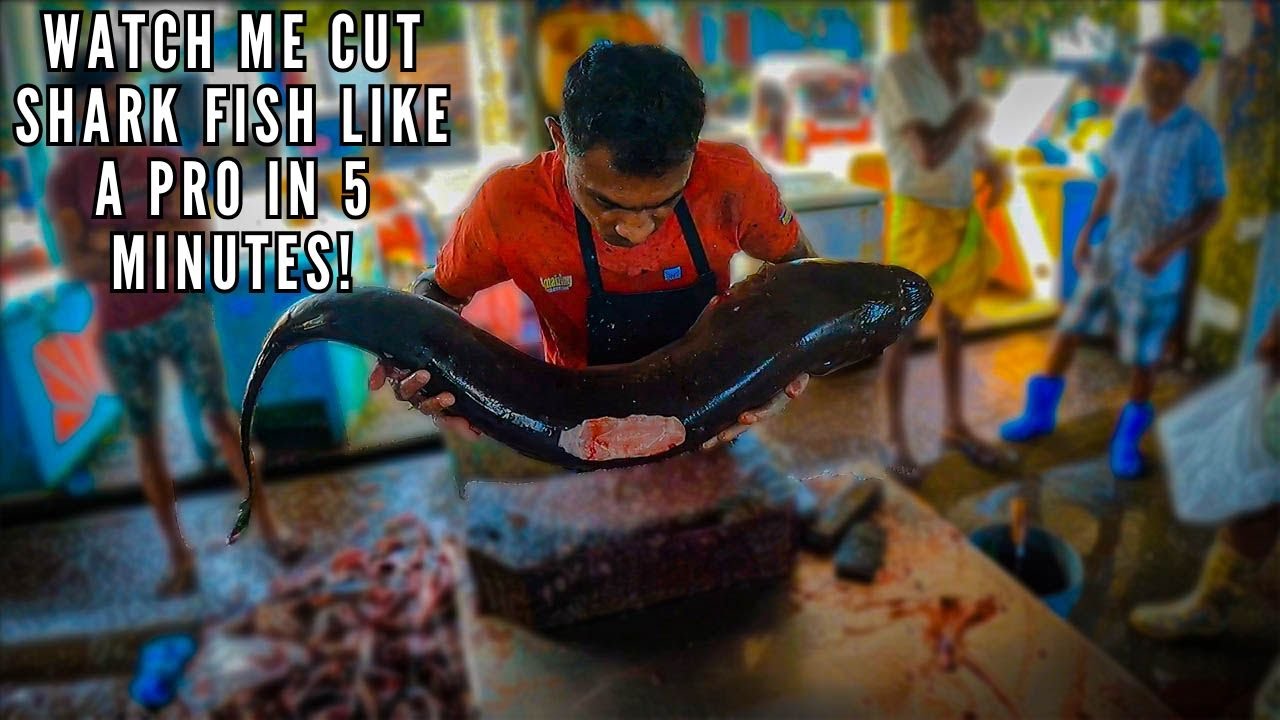 මෙන්න කැපිලි !! WATCH ME CUT SHARK FISH LIKE A PRO IN 5 MINUTES! - YouTube